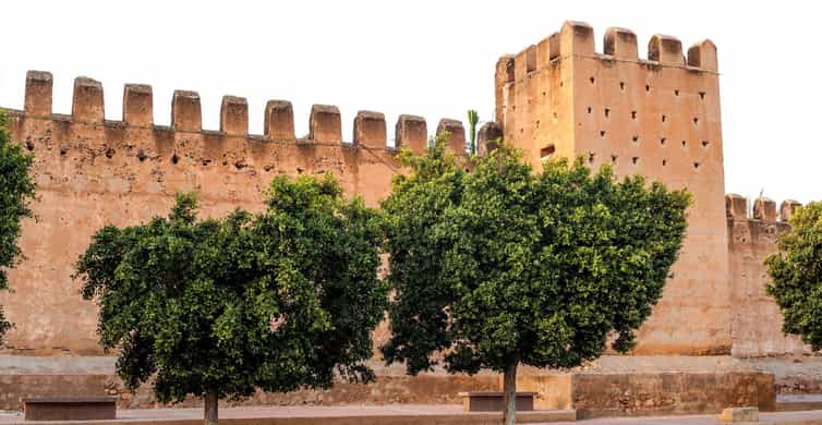 Taroudant and Tiout Oasis Trip With Lunch | GetYourGuide