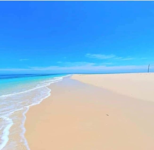 Mnemba atoll, dolphin & snorkelling tour | GetYourGuide