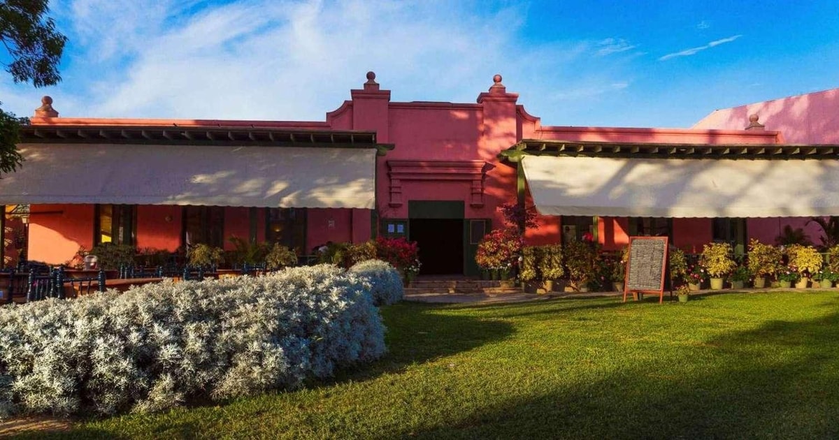 Visite nocturne à Ica avec dégustation de vin et de pisco | GetYourGuide