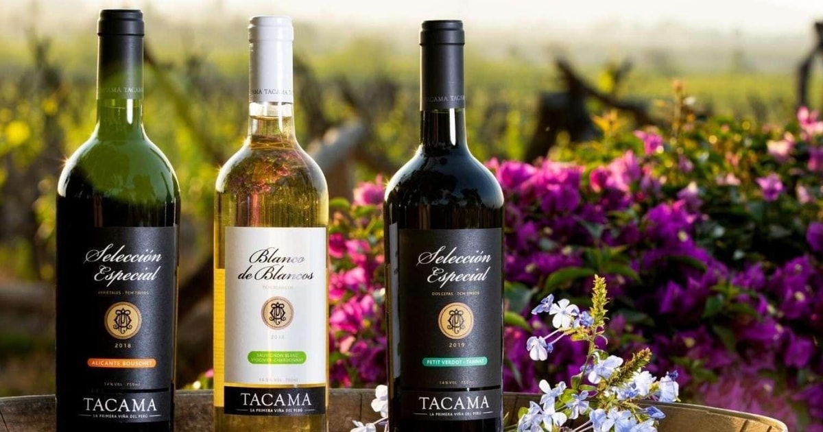 Ica: Pisco Tacama Route, Arrabal, Lovera Winery | GetYourGuide