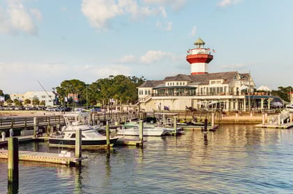 Hilton Head Island: Sunset Dolphin Cruise | GetYourGuide