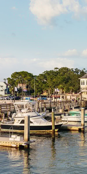 Hilton Head Island: Sunset Dolphin Cruise | GetYourGuide