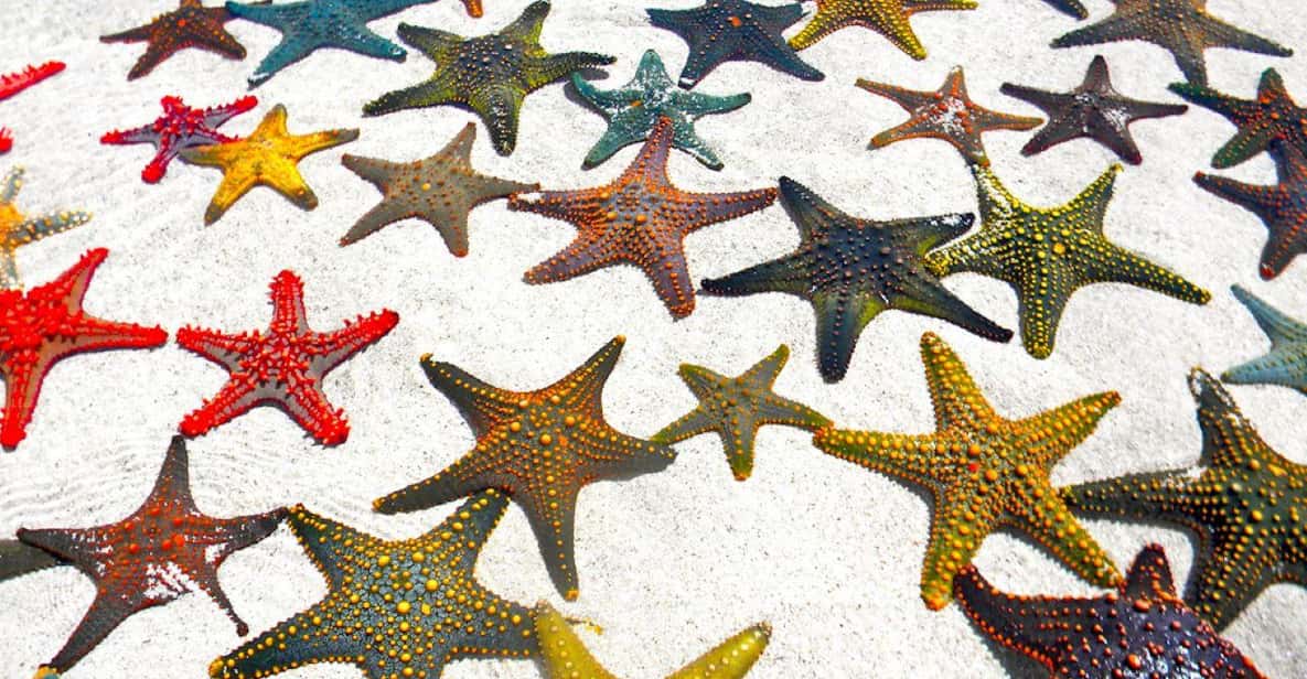 Lunch at The Rock Restaurant, Monkey Tour, Stone Town Tour | GetYourGuide