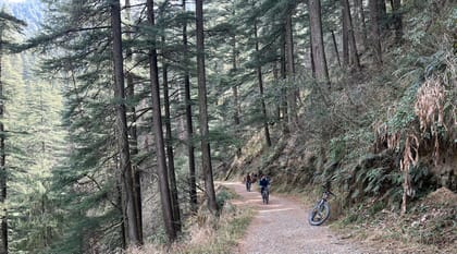 Shimla: Wildlife Sanctuary & Water Catchment Guided Tour | GetYourGuide