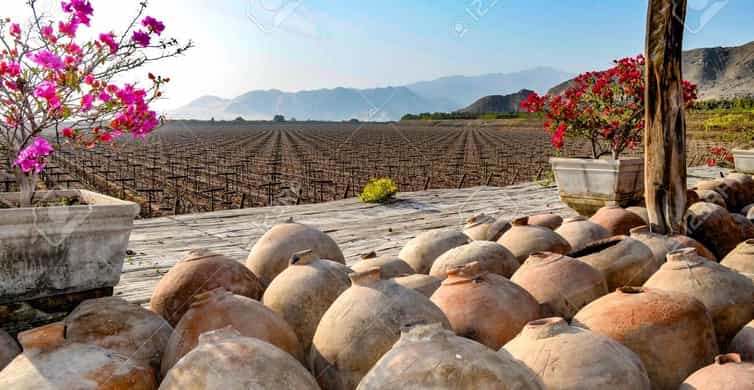 Desde Ica: Ruta del Pisco | GetYourGuide