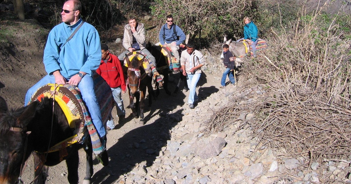 Mule ride in Atlas mountains | GetYourGuide