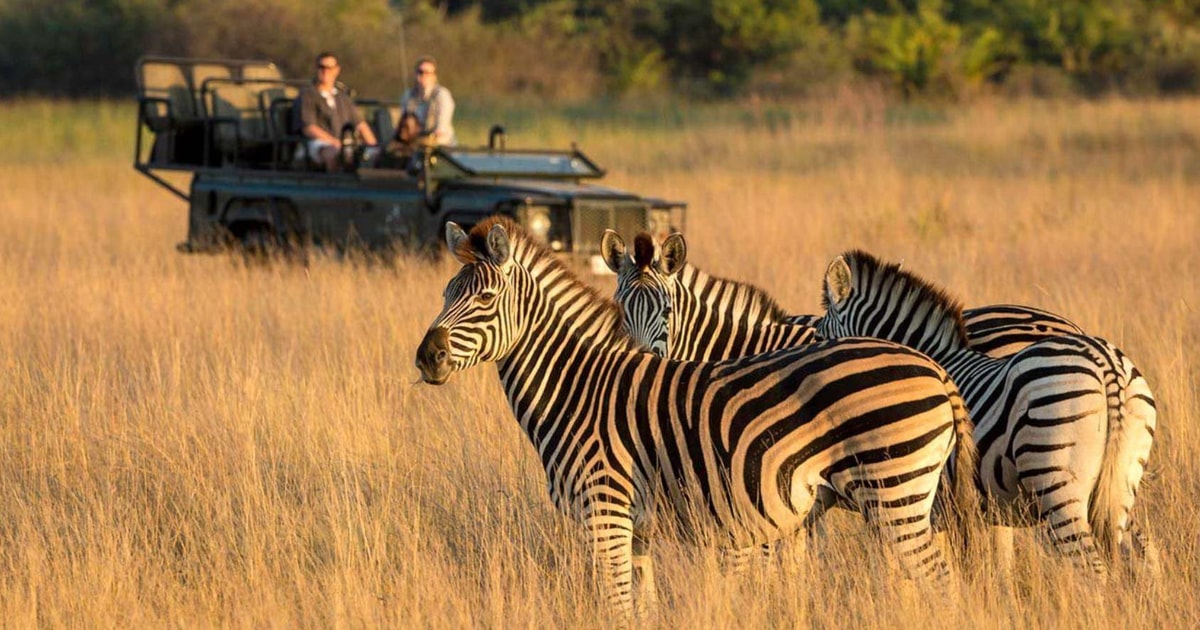 Half Day Durban City Tour and Phezulu Safari Park | GetYourGuide