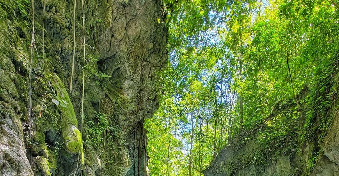 Hour Rio Partido's Secret River Trail with Lunch | GetYourGuide