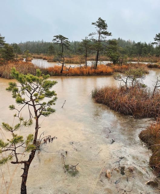 Kemeri National Park Guided Tour | GetYourGuide