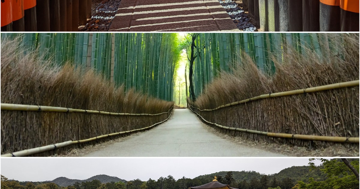 Full-Day Kyoto Walking Tour: Most Iconic Landmarks & Monkeys | GetYourGuide