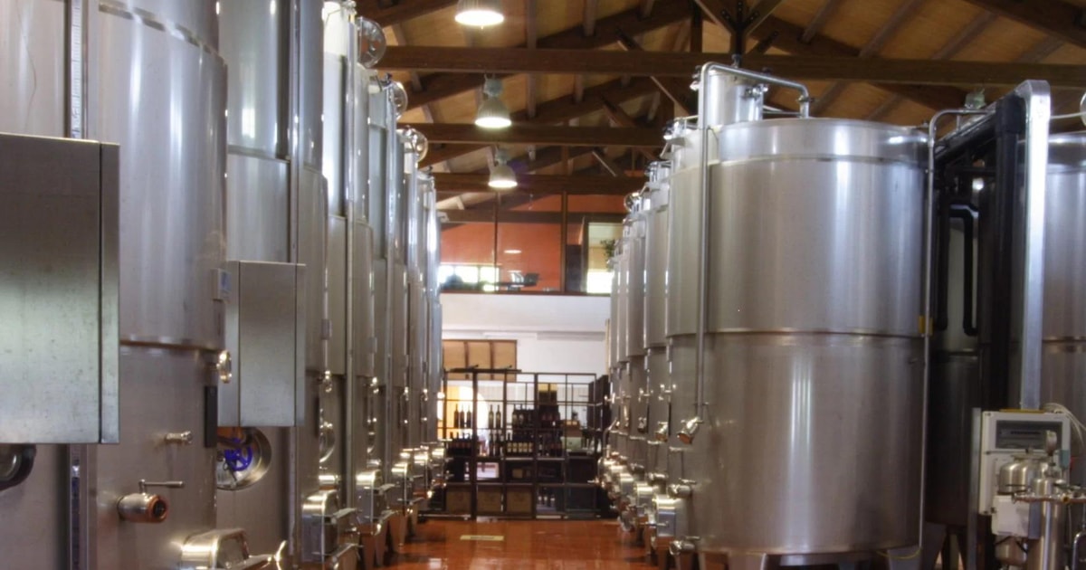 Antica Masseria Venditti: Führung durch den Weinkeller mit ...