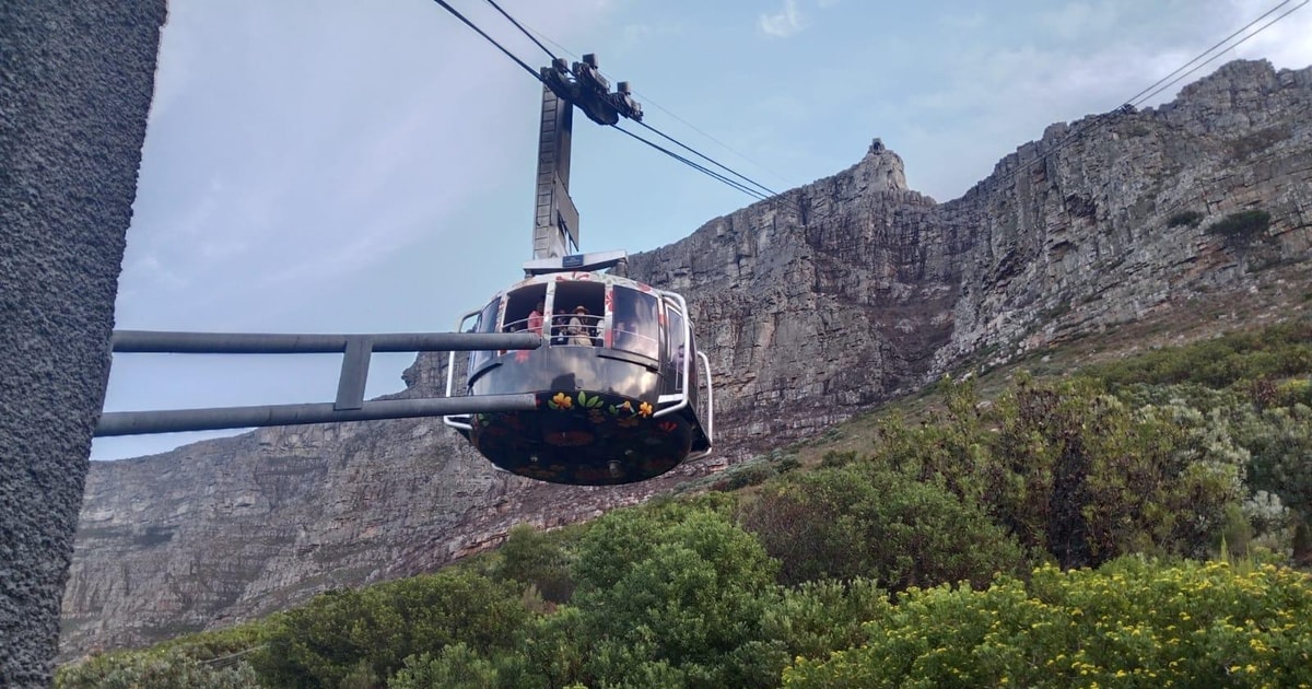 Taffelberget, Cape Point och pingvinerna Shairing Gruppresa | GetYourGuide