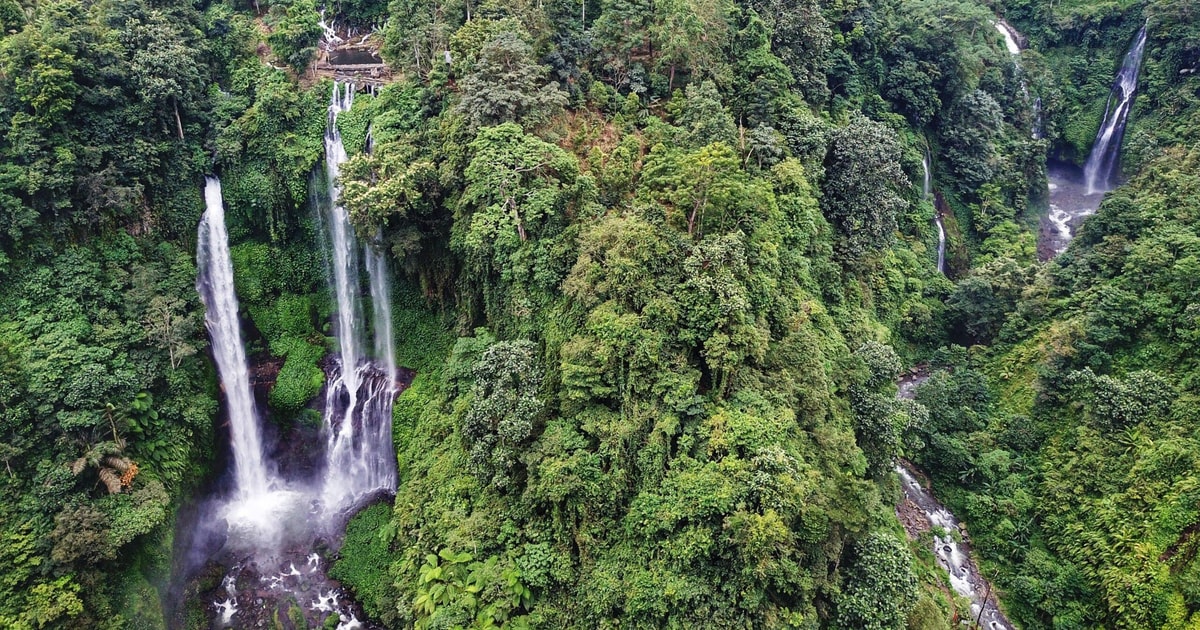 Bali: Sekumpul und Banyumala Wasserfall Geführte Wanderung | GetYourGuide