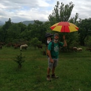 Skopje: Brodec - Spirova Hütte - Crn Kamen Wandertour | GetYourGuide