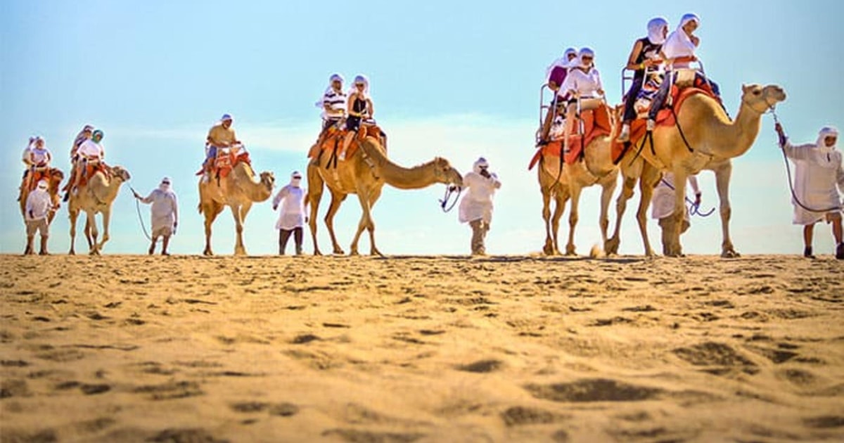 Los Cabos: Desert & Sea Camel Safari Tour with Lunch | GetYourGuide
