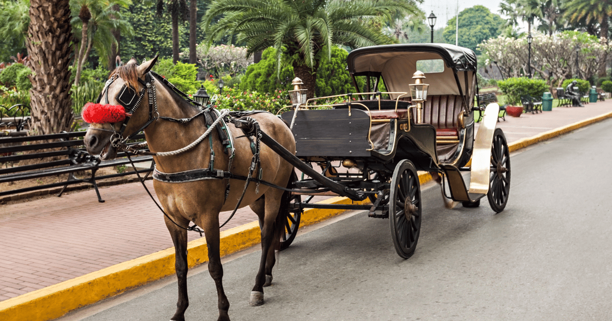 MANILA: HISTORICAL KALESA RIDE TOUR EXPERIENCE IN INTRAMUROS | GetYourGuide