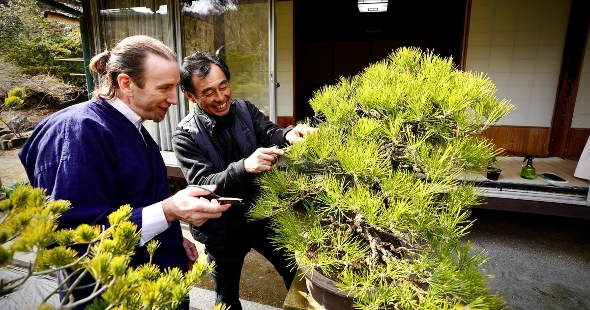 Hiroshima: Bonsai - A Gentle Journey into Nature’s Art | GetYourGuide