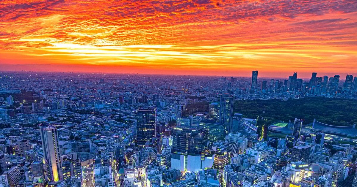 Tour a pie por Tokio: Explora el Templo de Asakusa y el Cielo de ...