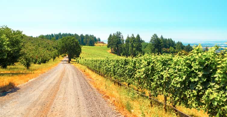 The BEST Oregon Wine Country Tours and Things to Do in 2023 - FREE ...