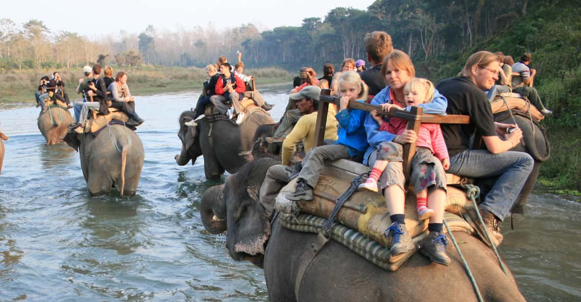 Chitwan Jungle Safari Tour: 3-Day Chitwan National Park Tour | GetYourGuide