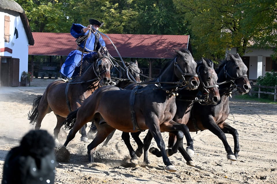 Puszta Full-Day Tour from Budapest with Lunch | GetYourGuide