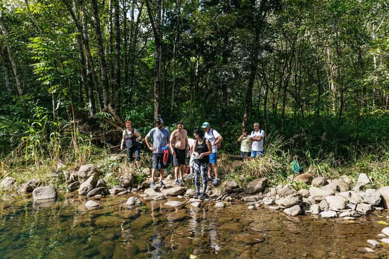 Maui: Rainforest Waterfalls Guided Hike with Picnic Lunch | GetYourGuide