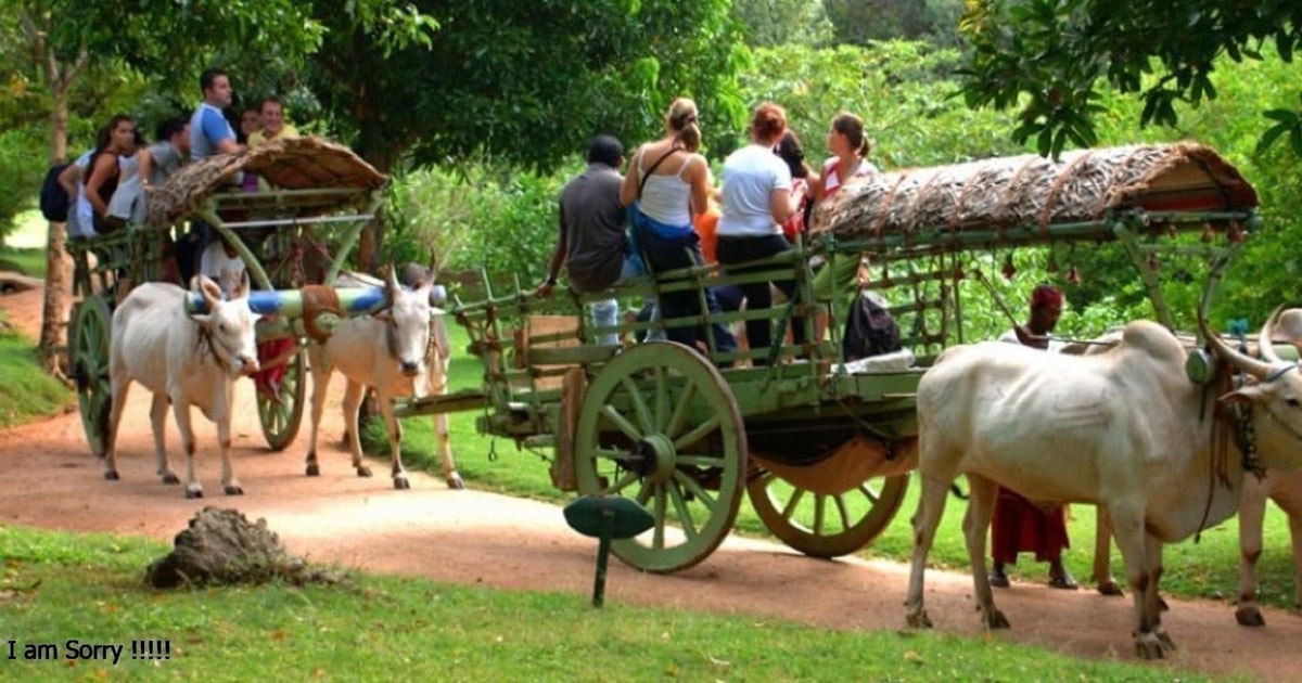 Dambulla: Caves Temple & Traditional Village Tour with Lunch | GetYourGuide