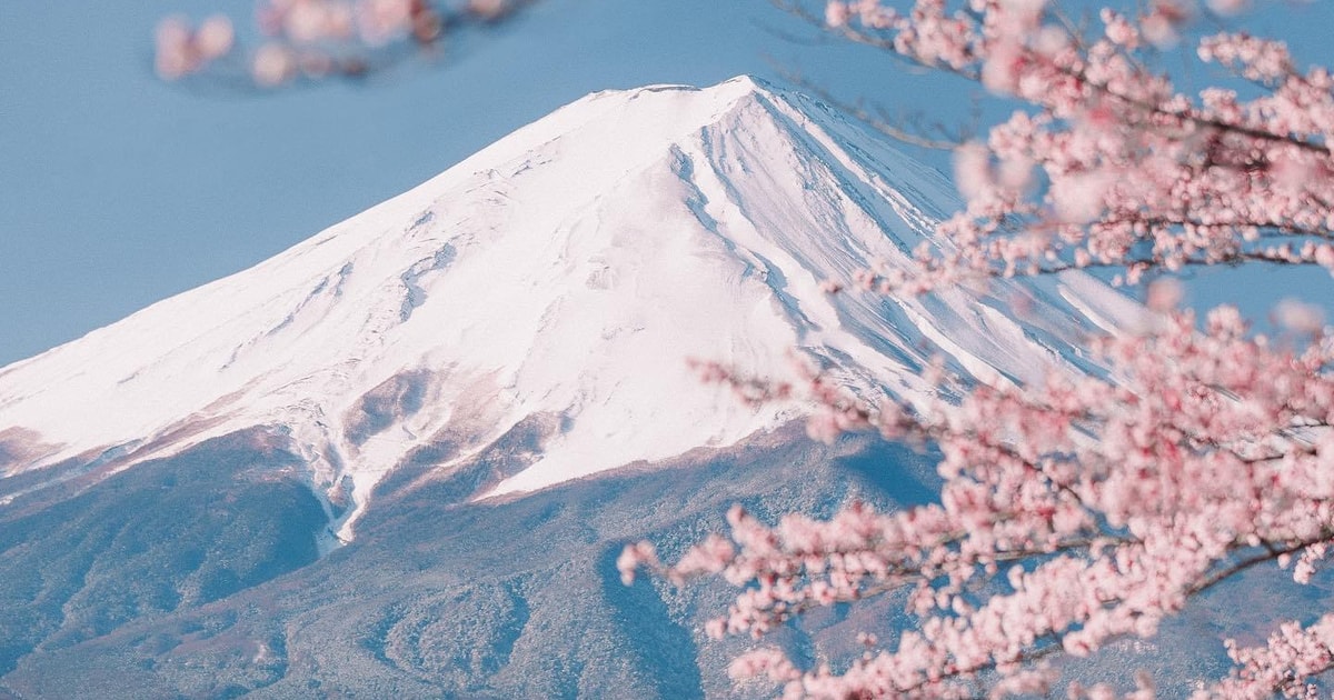 Mount Fuji Sightseeing Private Trip with English Guide | GetYourGuide