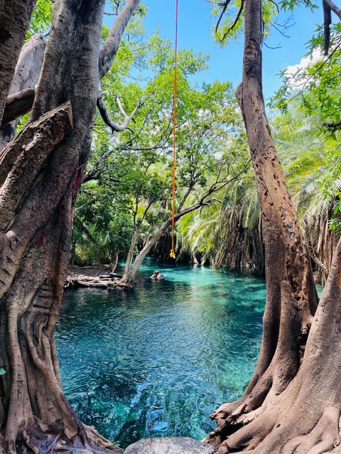 kikuletwa hotsprings swimming tour | GetYourGuide