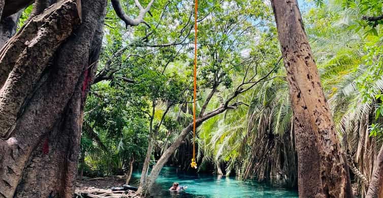 Moshi/Arusha kikuletwa Hot Springs Tour | GetYourGuide