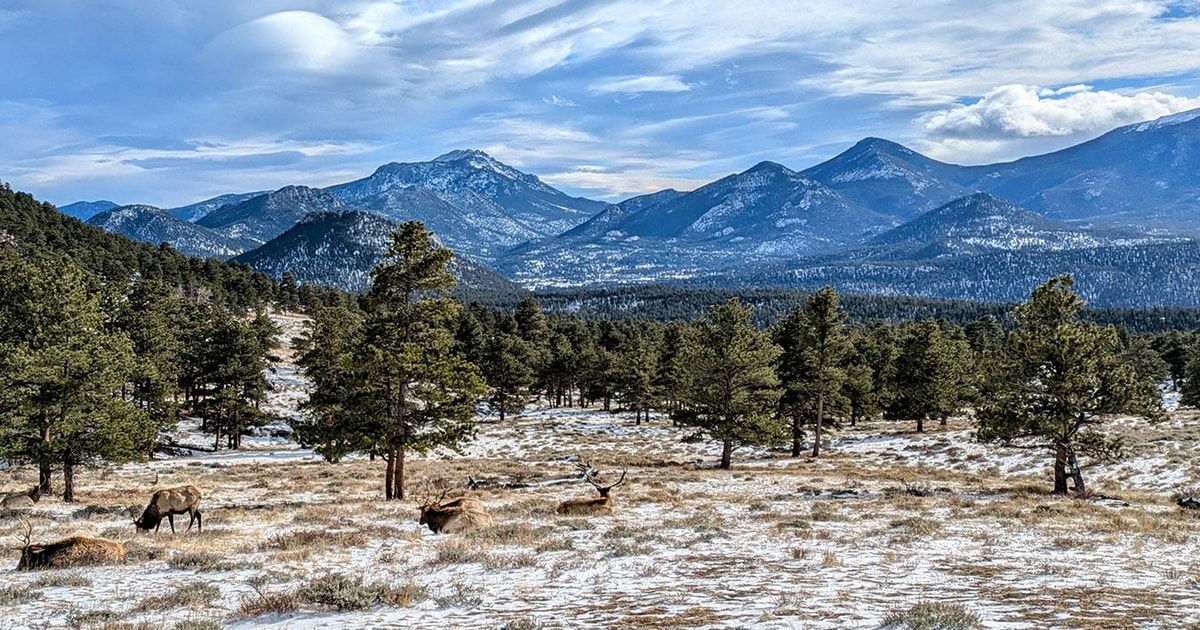 Desde Boulder o Denver: visita al Parque Nacional de las Montañas ...