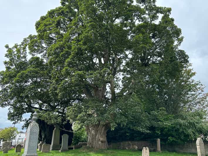 Loch Ness Tour: Trip to Loch Ness, Outlander Sites & More | GetYourGuide