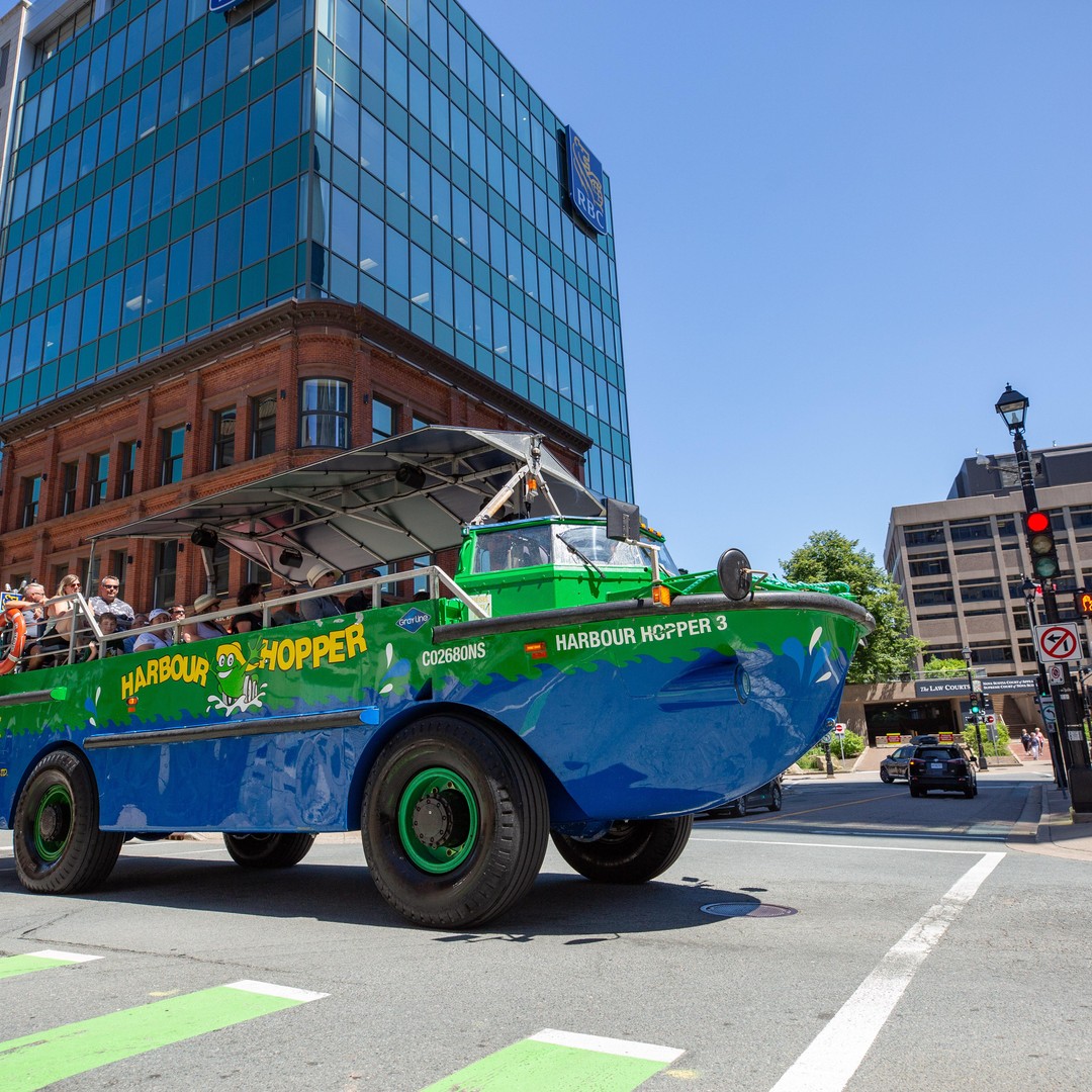 Halifax: Harbour Hopper City & Water Cruise in a Duck Boat | GetYourGuide