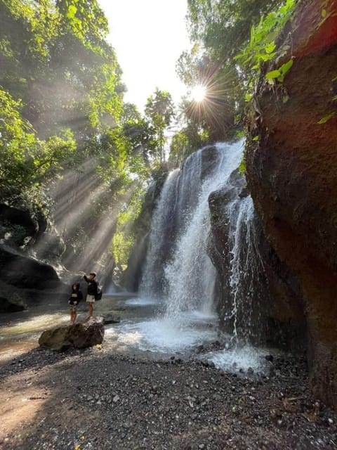Bali : Vodopád Ubudu s kávovou plantáží | GetYourGuide