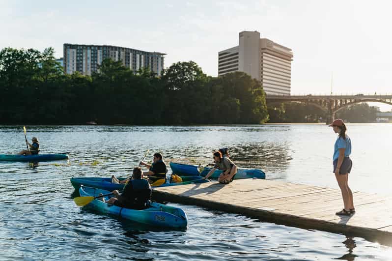 Austin: Sunset Bat Watching Kayak Tour | GetYourGuide