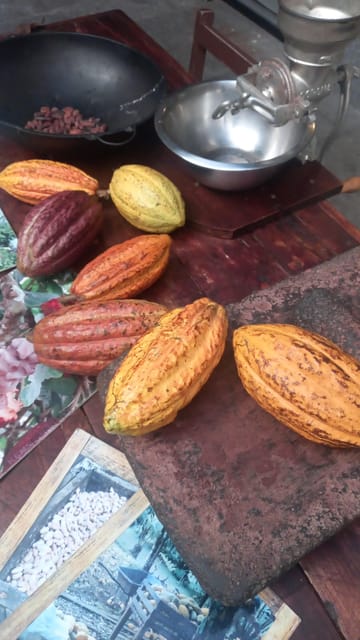 San Jose: Cacao & Chocolate Workshop | GetYourGuide