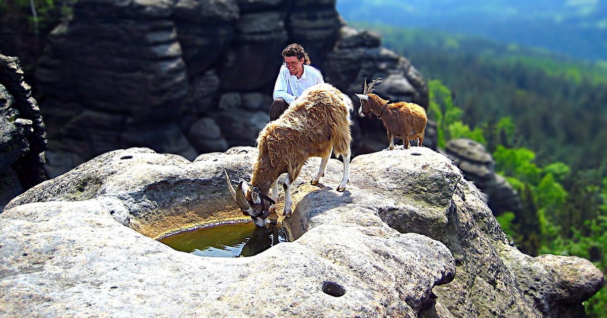 Bestig bjergene sammen med geder | GetYourGuide