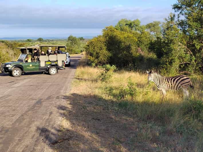 MEJORES actividades y cosas que ver en Parque Nacional Kruger en 2024 ...