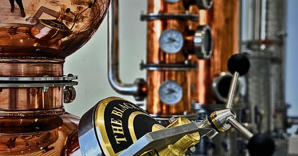 Coimbra: Create Your Own Gin at Black Wolf Distillery | GetYourGuide