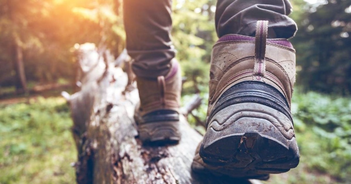 Kelowna: Guided Hiking Tour | GetYourGuide
