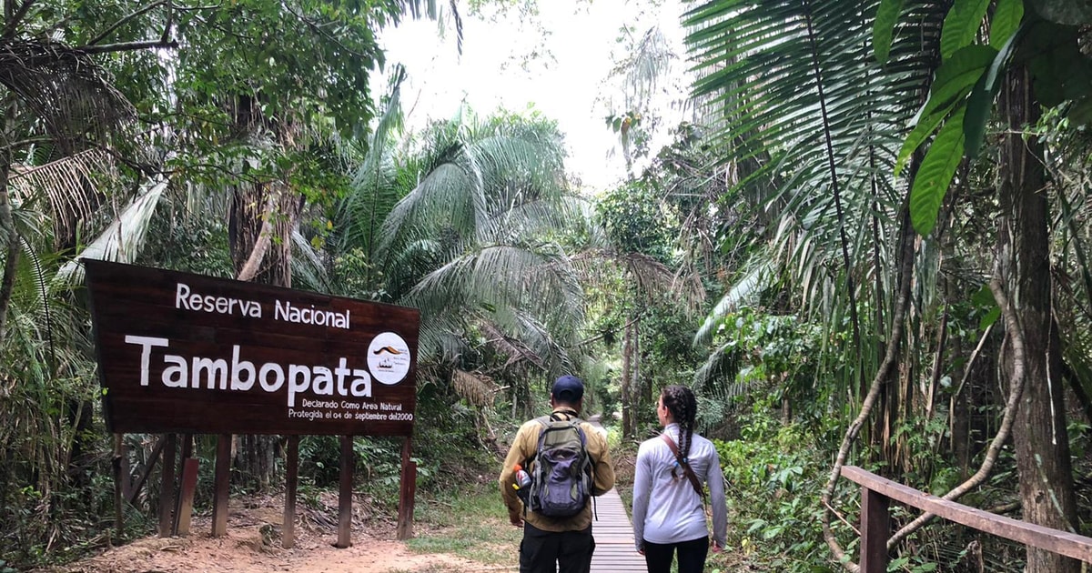 Desde Puerto Maldonado | Caminata en la selva + Lago Sandoval ...