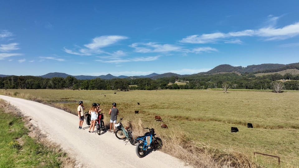 Northern Rivers Rail Trail E-Bike Hire w Shuttle from Byron | GetYourGuide