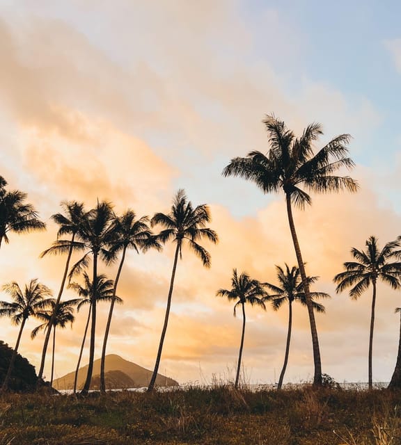 South Molle Island Self Guided Walking Tour | GetYourGuide