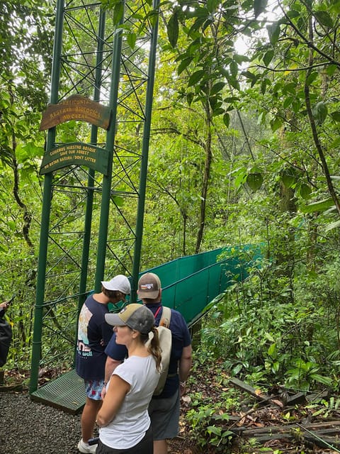 Guanacaste: Rainforest, Sloths, & Nature Day Trip with Lunch | GetYourGuide