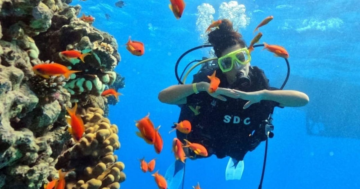 Fethiye Scuba Diving Tour: Free Shuttle Service - Lunch Included ...