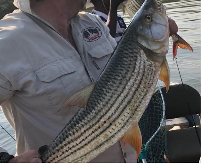 Tiger Fishing- Komati River - Half Day | GetYourGuide