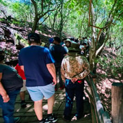 Monterrey: Aventura Safari en el Bioparque Estrella | GetYourGuide