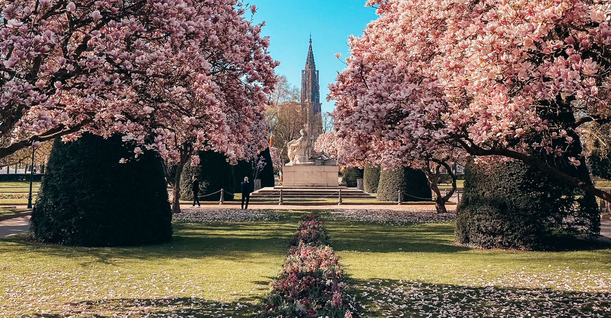 Walking tour in Strasbourg between history and curiosities | Guided ...