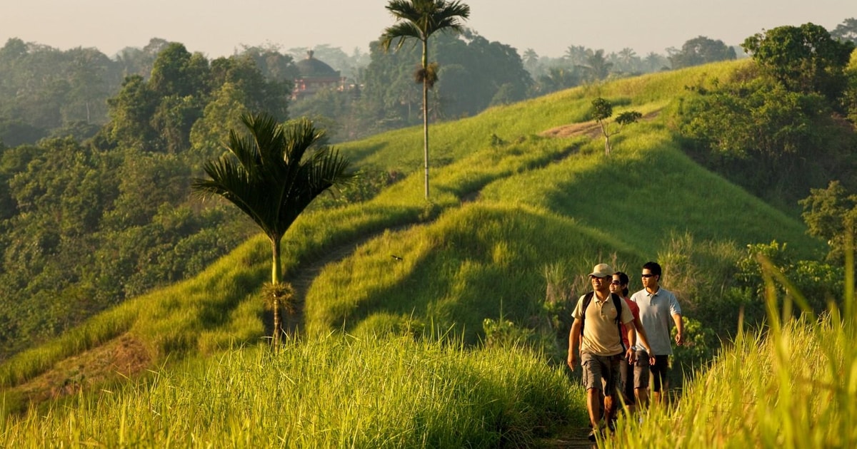Bali: Ubud terase de orez, temple și vulcan Excursie de o zi în Ubud ...