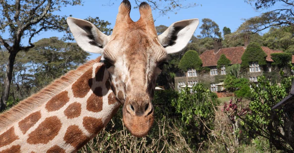 National Museum, Giraffe Centre & Bead Center Tour | GetYourGuide